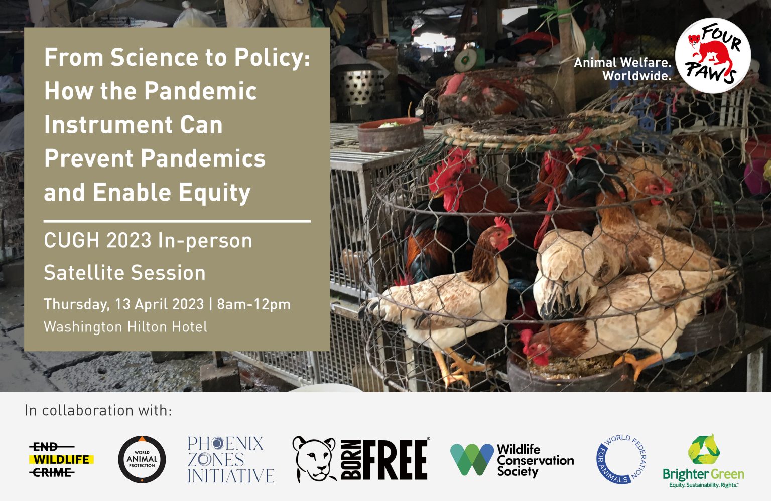 Brighter Green | Equity. Sustainability. Rights.