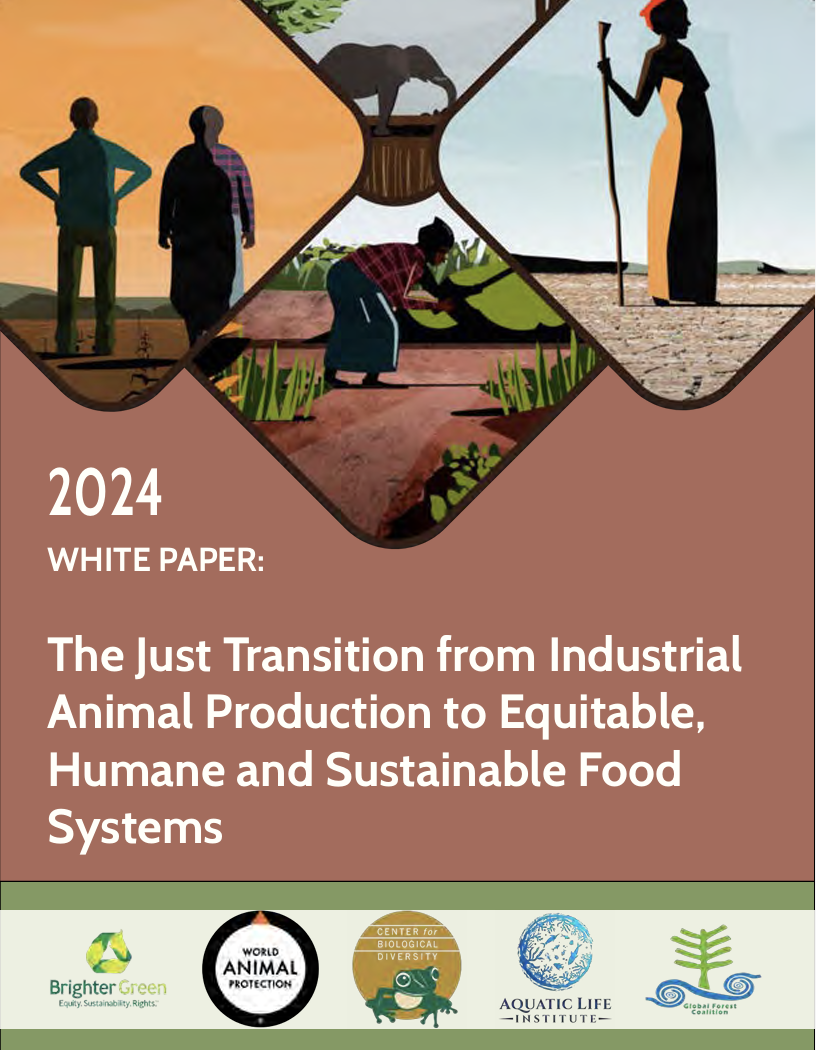 The Just Food Transition Roadmap – Brighter Green